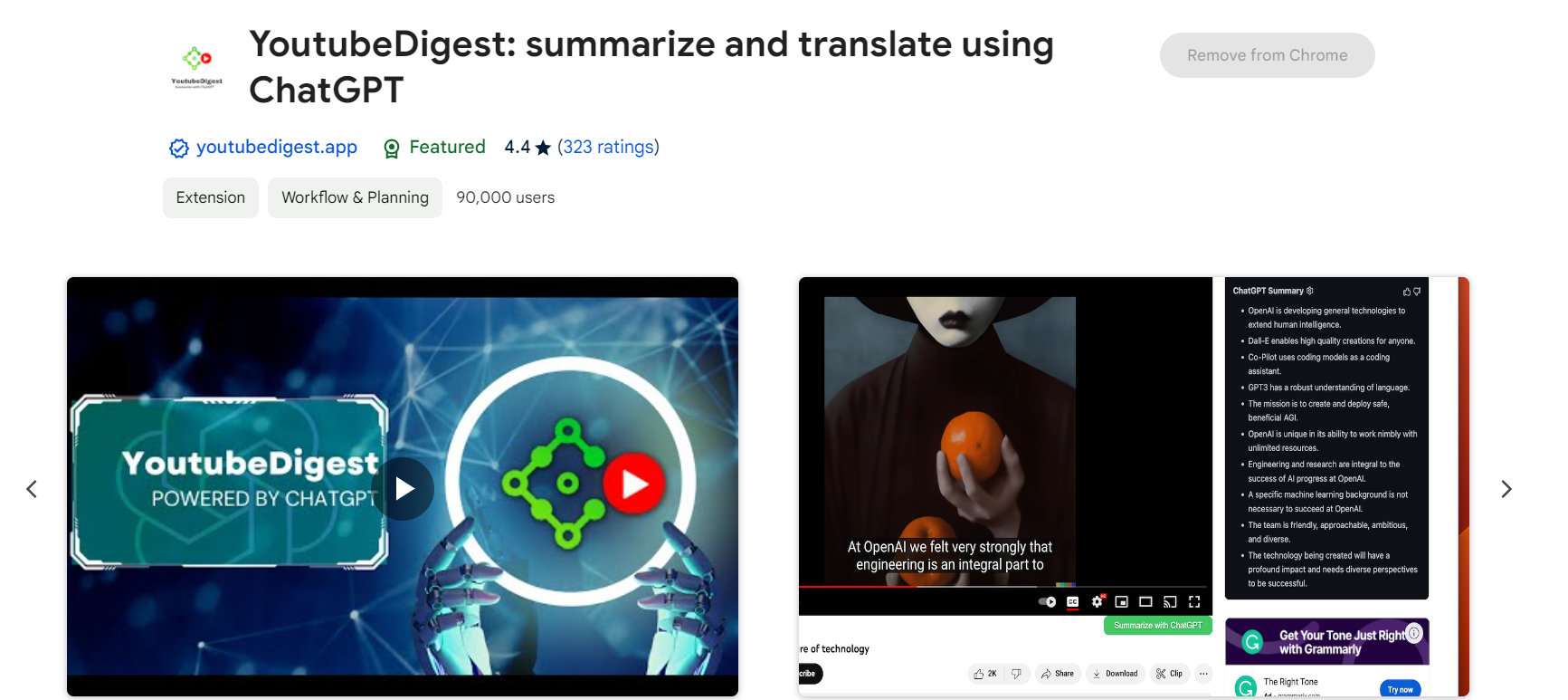 The best 10 free YouTube Video summarizers - Remoun Passive